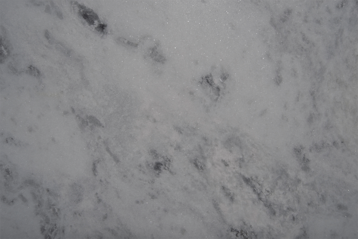 BIANCO NEVE 20838 - Stone Action