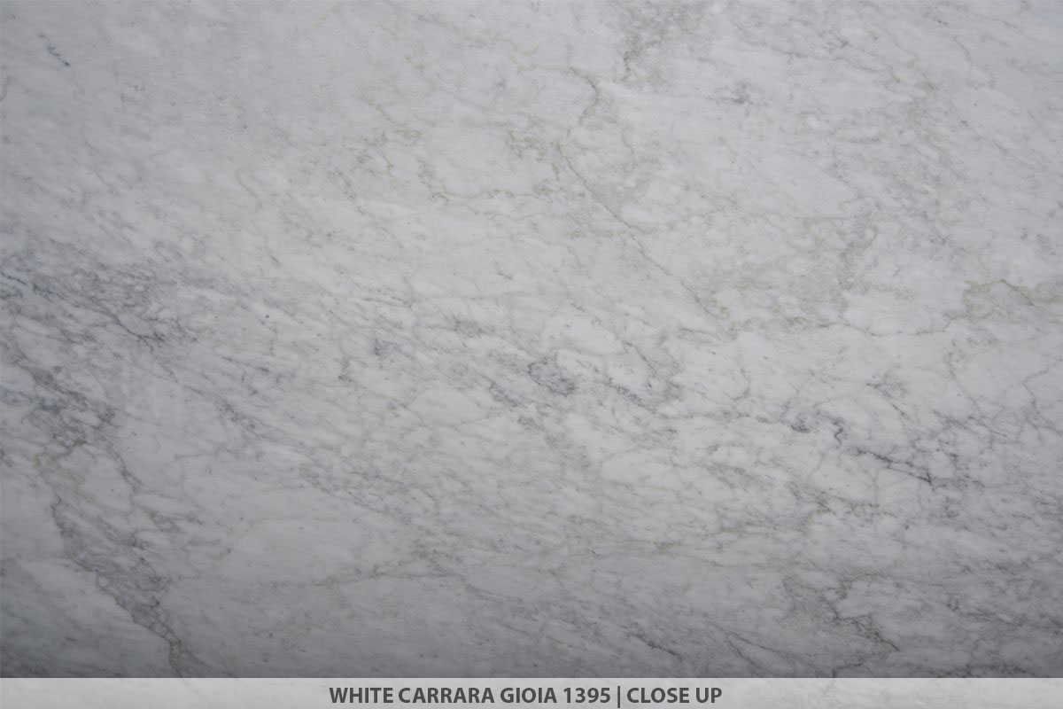 WHITE CARRARA GIOIA 1395 - Stone Action